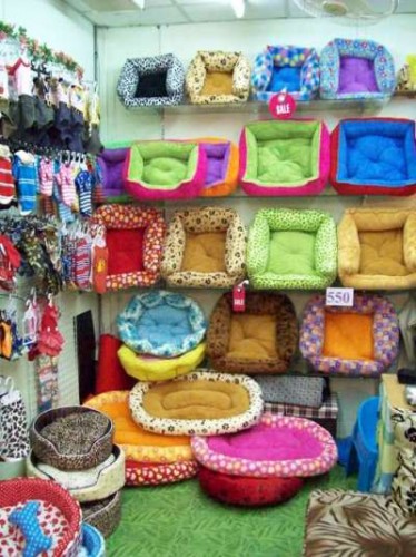 JPD09073 – Pongpat Janthai Green